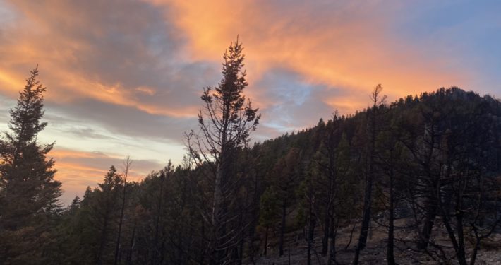 Big Sky Wind Drinkers