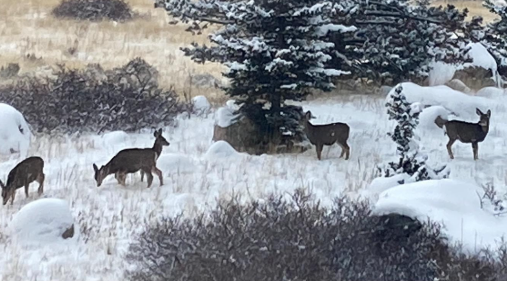 Two Types of Able-Bodied Runners Make The News - Big Sky Wind Drinkers